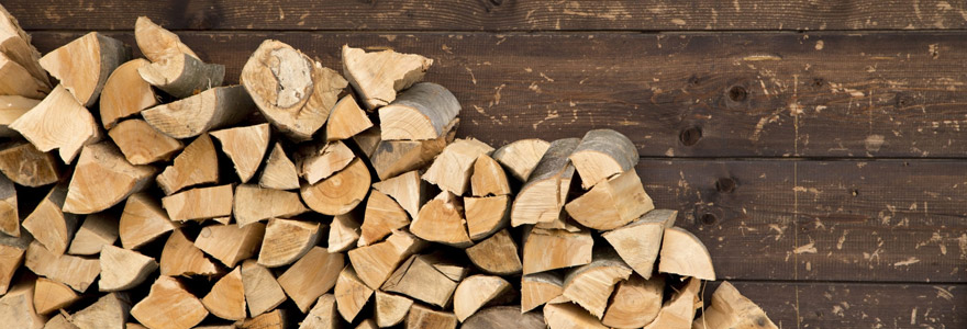 Guide d’achat de bûches de bois au alentour de qualité